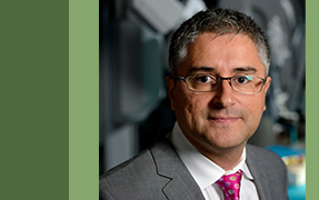 Feb 10 Explainable Ai Via Semantic Information Pursuit With Rene